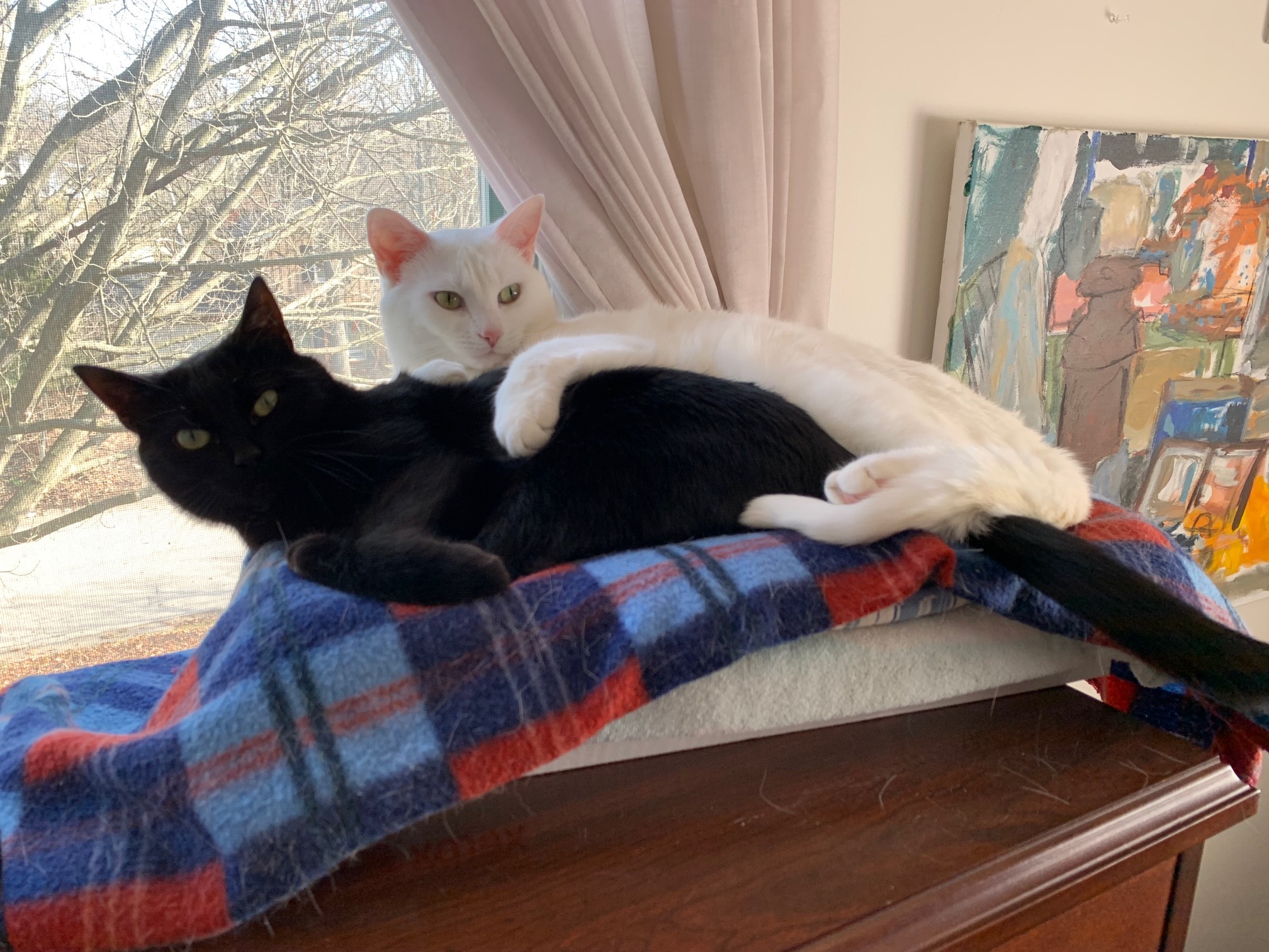 Meet Formstack’s Support Team | Formstack Blog